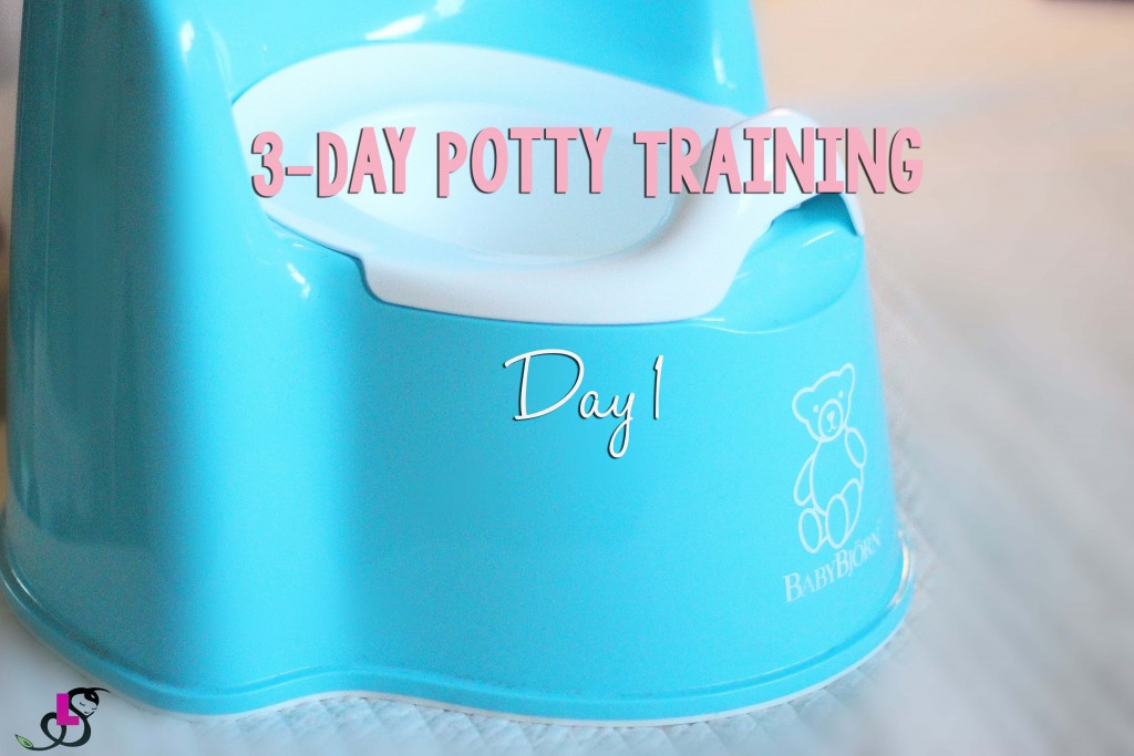 Day 1 of the “3-Day Potty Training” Method (+video!) | LittleSproutings ...
